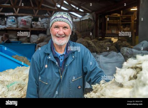 Oliver Henry Master Wool Grader At Jamieson And Smith In Lerwick
