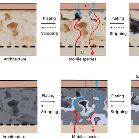 Electrochemical Performance Of Cells With An Nmc Cathode Download