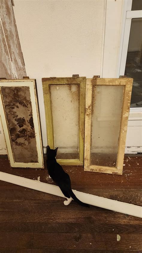 Hidden Transom Windows R Centuryhomes