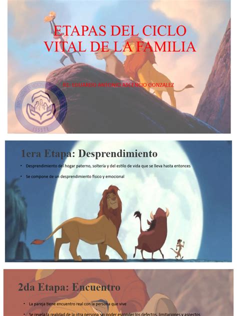 Etapas Del Ciclo Vital De La Familia Pdf Vejez Adolescencia