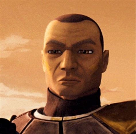 Commander Bly Icon Star Wars Humor Star Wars History Star Wars Drawings