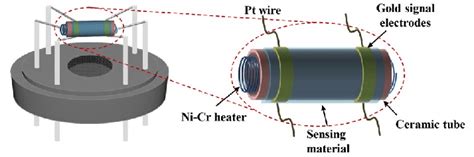 Schematic Of The Gas Sensor Download Scientific Diagram