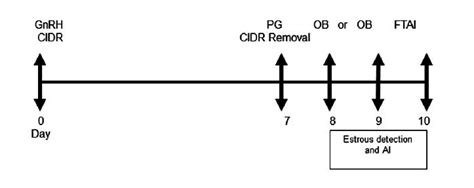 Schemes Of The Used Protocols The Cows Were Divided Into Four Groups