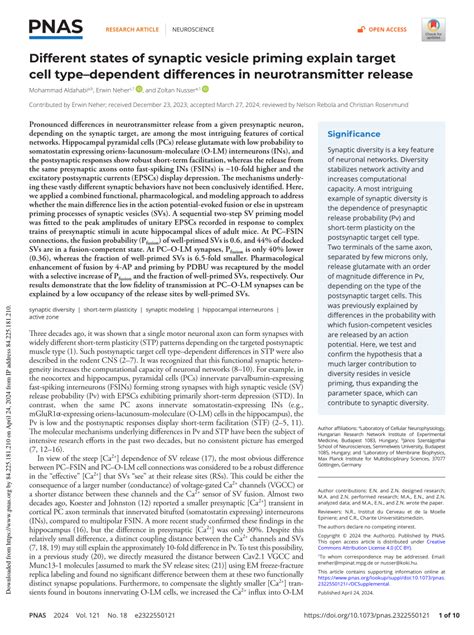 Pdf Different States Of Synaptic Vesicle Priming Explain Target Cell