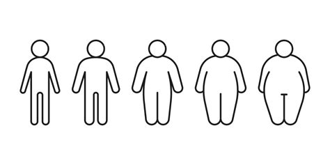 Type Body Of People Thin Normal And Obese Fat Vector Image