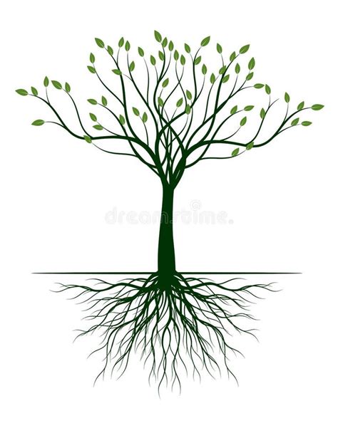 Black Tree Vector Outline Illustration Plant In Garden Stock Vector