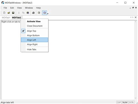 Controls Examples Codejock