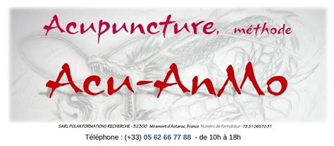Le Livre Gratuit Du Dr Jan Polak Introduction à Lacupuncture Acu Anmo Acu Anmo