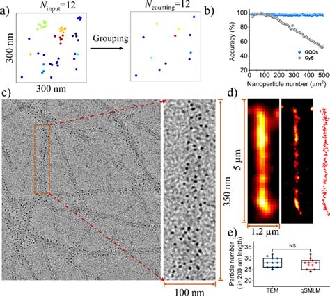 Carbon Dot Blinking Enables Accurate Molecular Counting At Nanoscale Resolution Analytical