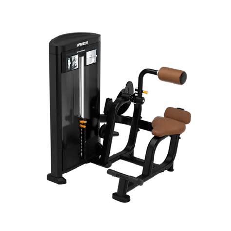 Precor Back Extension Rsl0313 Wellnesslyfstylinternational