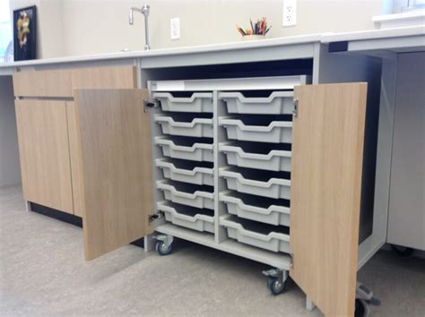5 Practical Ideas To Maximize Lab Storage In Schools S B