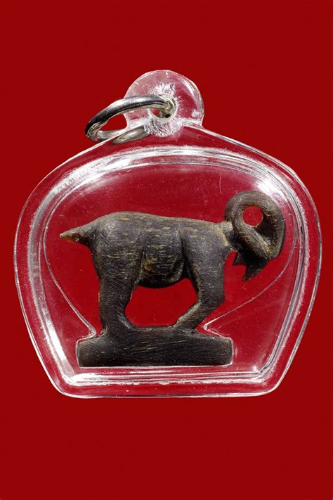 ประมูล แพะเขาควายเผือก หลวงพ่อรัต วัดหนองกระบอกศิษย์เอกหลวงพ่ออ่ำ ครับ พระล้านนา คอม เว็บ พระ