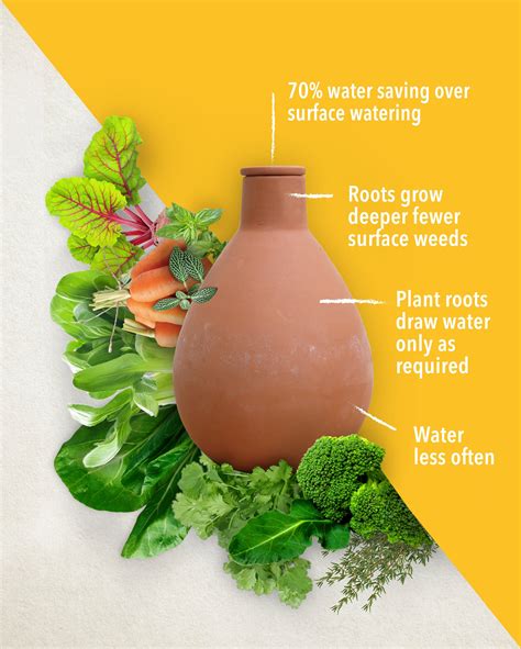 Small Space Urban Gardening Olla Pots Root Pouch Grow Bags Up On