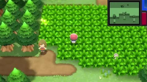 8 Bdsp I Scored Two Shiny Zigzagoon At Around 16 And 27 Respectively In My Radar Chains