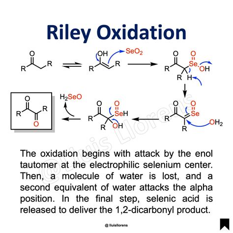 Riley Oxidation Nrochemistry