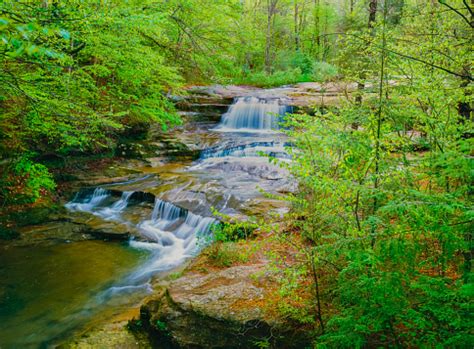 500 Free Ohio And Nature Photos Pixabay