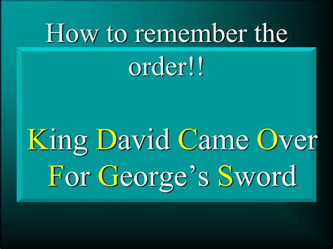 Plant Classificationpdf Gardening Home And Garden