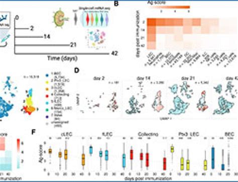 Multiomic Single Cell Dnarna Sequencing Functional Phenotyping Of Genomic Variants Using