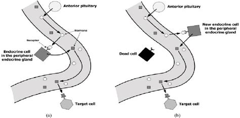 Figure 2 From Bio Inspired Fault Tolerance In Vlsi Systems A Survey Semantic Scholar