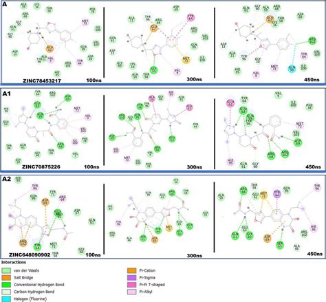 2d Interactions Of Hit Compounds With Krasg12d Binding Site Residues