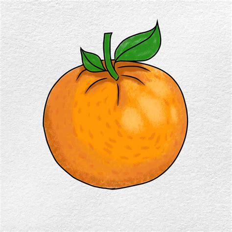 How To Draw Orange Picture