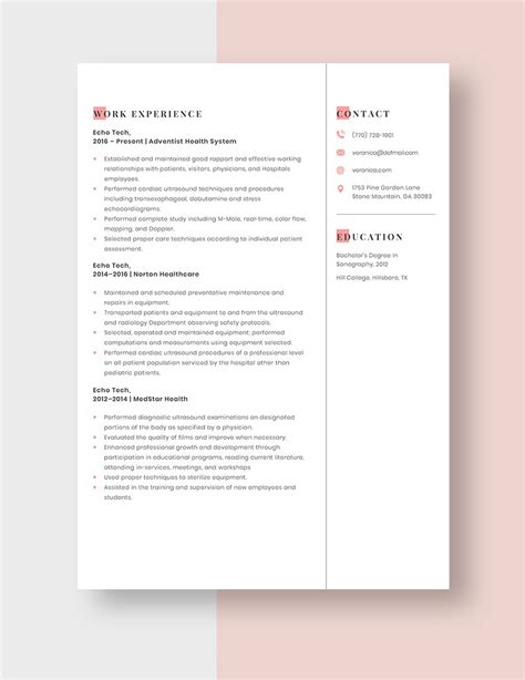 Echo Tech Resume In Word Pages Download