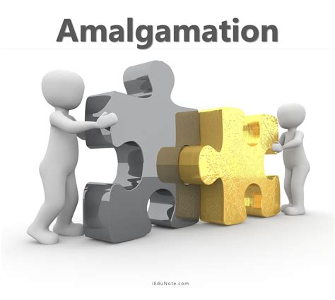 What Is Amalgamation Types Of Amalgamation