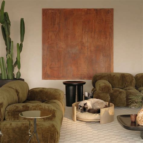 Editors Pick 5 Pet Corners That Make A Home Feel Warmer Bobopal
