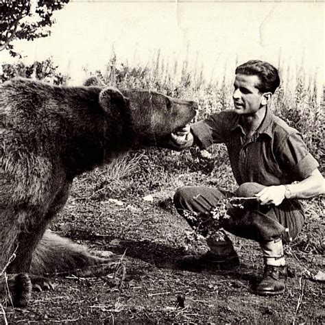 Wojtek A Bear Who Became A Soldier Polish History