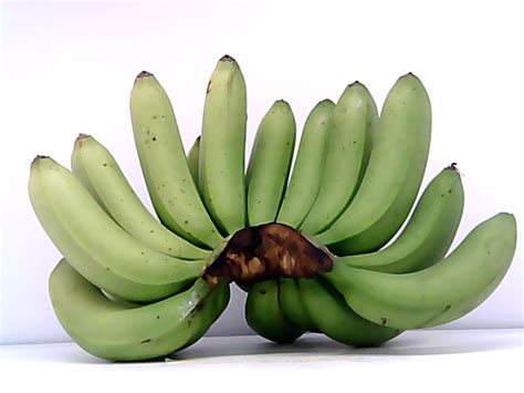 Image How To Get The Size Of An Object Using Opencv Python Stack