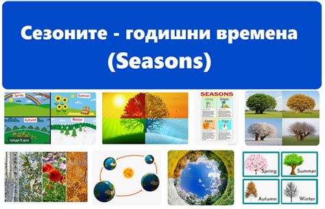 Самоучител Сезоните годишни времена Dlambow
