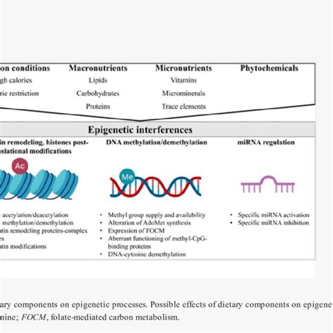 The Bclc Staging System For Hcc Prognostic Stage Treatment Methods