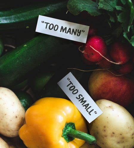 Infinite Lambda Data And Ai Consultancy