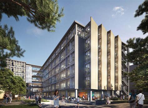 Uci Interdisciplinary Science And Engineering Saiful Bouquet Structural