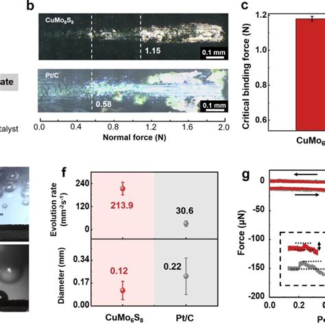 Strong Interfacial Binding Force And Small Electrocatalyst Gas Bubble Download Scientific