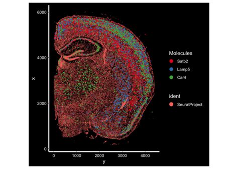 exploratory visualizations