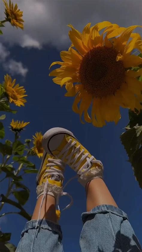 Sonoran Chamomile Sunflower And Sunshine Aesthetic Aesthetic Shorts