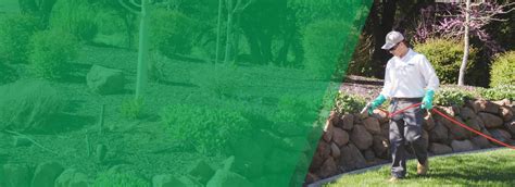 Eco Friendly Pest Control Experts Pro Active Pest Control