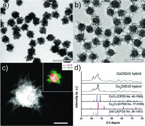 TEM Images Of A ZnO Cu O Core Shell Hybrid NPs And B ZnO CuO Download Scientific Diagram