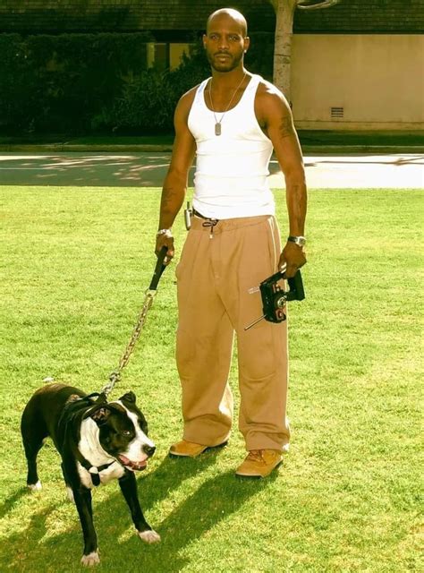 Dmx Ano Do Cachorro Romeo Must Die Wikipédia A Enciclopédia