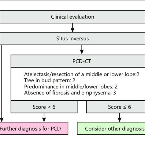 Common Pcd Genetic Mutations With Associated Clinical Features