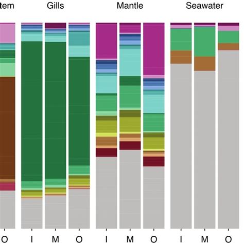 Taxonomy Bar Plot Of Bacterial Communities Associated With T Maxima
