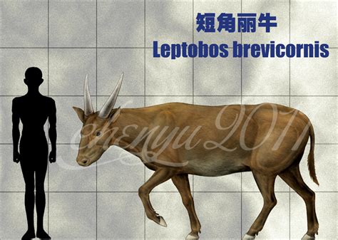 Leptobos Dinopedia Fandom