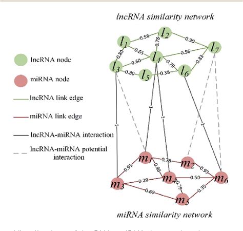 figure 1 from heterogeneous graph inference based on similarity network