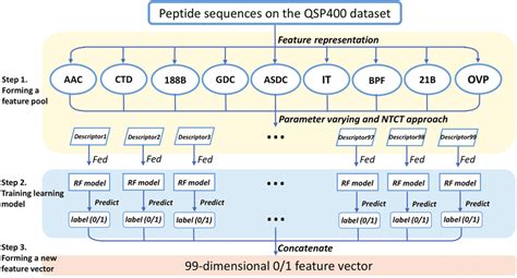 Pipeline Of The Feature Representation Learning Scheme Firstly A
