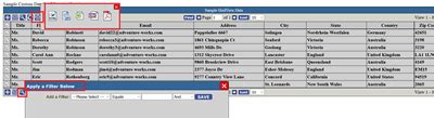 Custom DataGridView For Data Management CodeProject