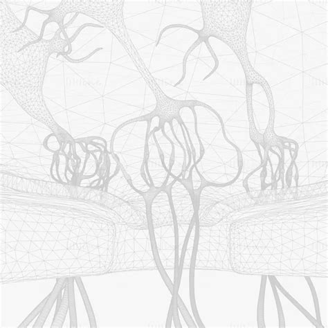 Olfactory Epithelium Microscopic Anatomy 3d Model
