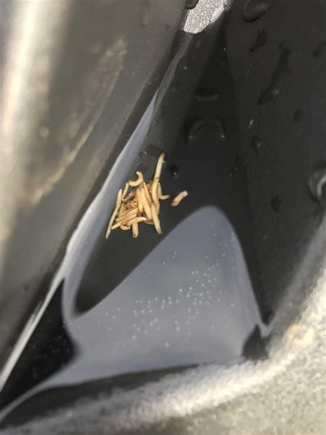 On The Outside Of A Rotating Compost Bin Should I Be Concerned R Gardening