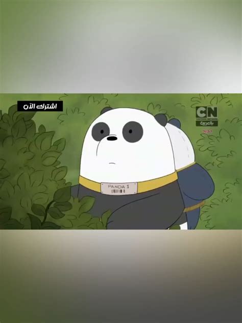 دببة الثلاثة مغامرات ممتعة للأطفال Tiktok