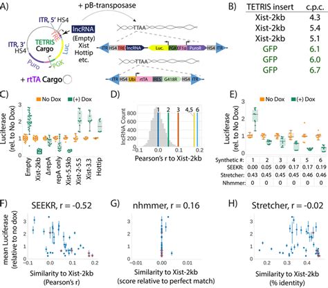 Functional Classification Of Long Non Coding Rnas By Kmer Content Pmc